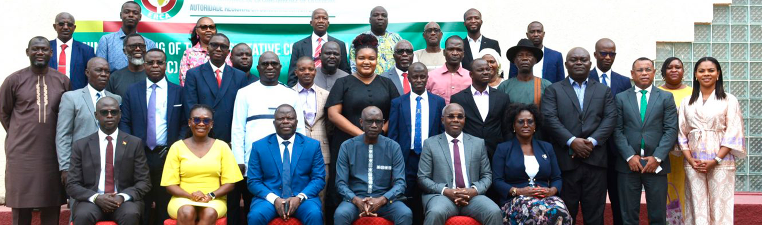 Overview – ERCA/ARCC